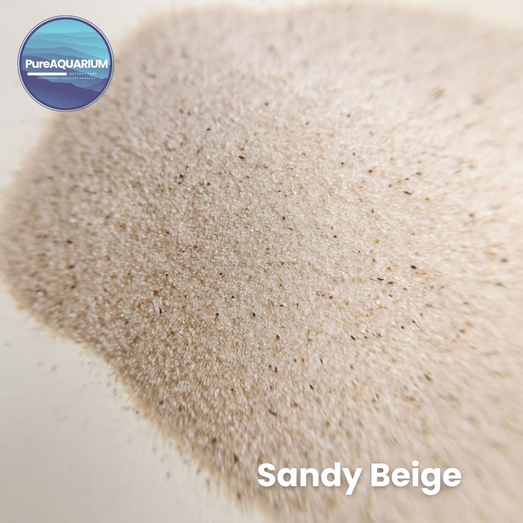 PureAquarium Sandy Beige Aquarium Sand | The Aquascape Shop