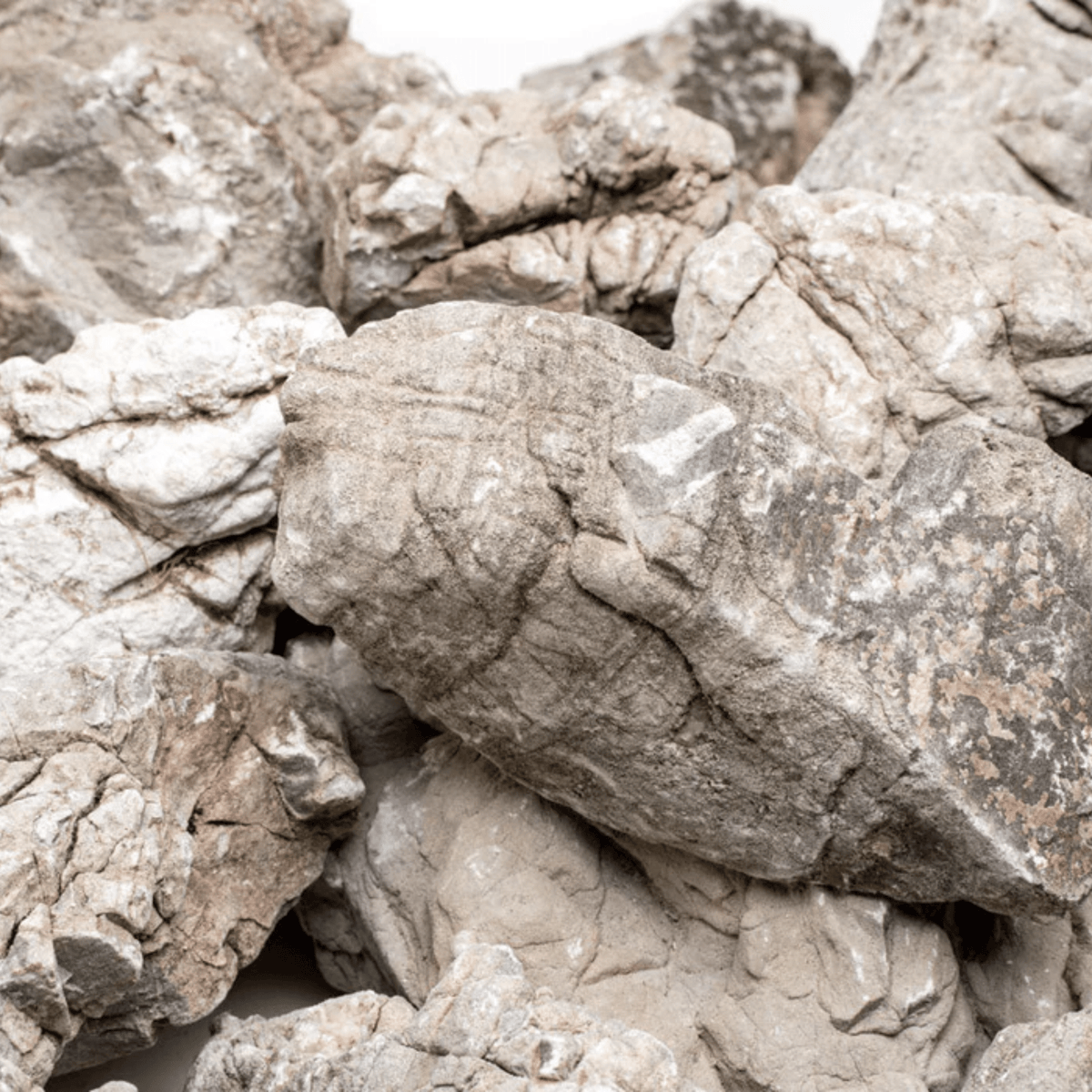 Grey Elephant Skin Rock | Aquarium Hardscape – The Aquascape Shop